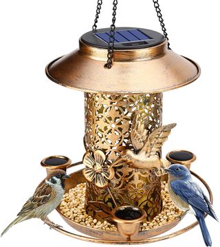 Mangiatoia per uccelli con luce 