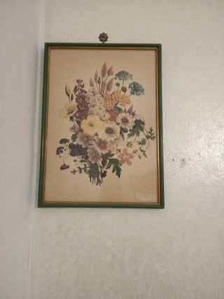 stampa floreale. poster botanico con cornice 