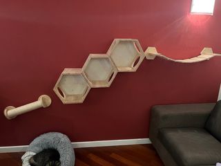 Kit composto da tiragraffi + 3 esagoni+ ponte