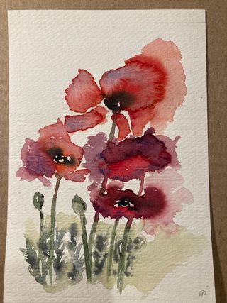 Acquerello papaveri