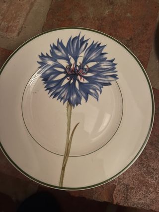 2 piatti dessert Flora Villeroy e boch 