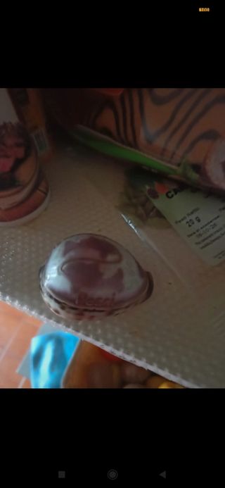 conchiglia segno dei pesci e campanellino