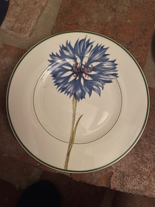 Coppia piatti dessert serie Flora villeroy &boch 