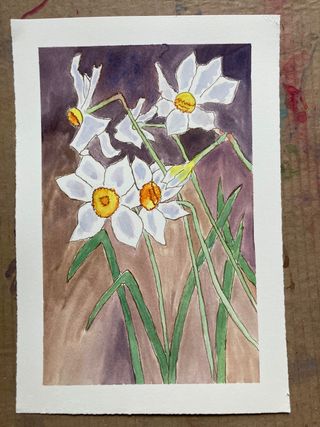 Acquerello narcisi