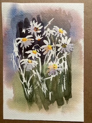 Acquerello margherite
