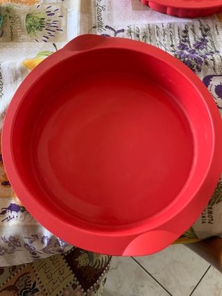 Torrierà in silicone tupperware