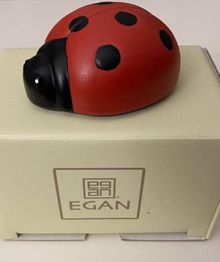 Coccinella portafortuna 