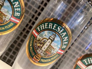 10 BICCHIERI da BIRRA THERESIANER