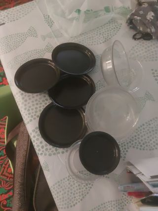 4 ciotole 1 ciotolina