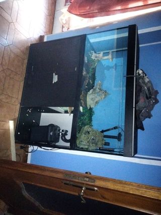 acquario tenerif