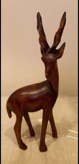 Antilope statuina etnica