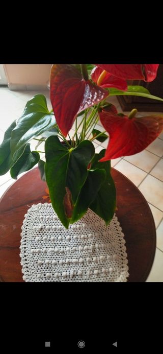 centrino rettangolare all'uncinetto con rilievi