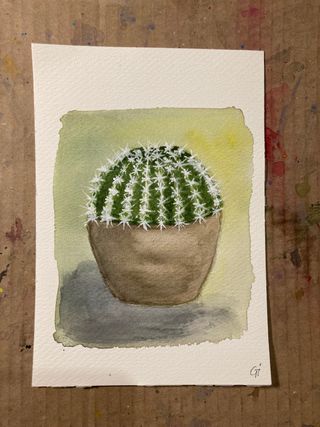 Acquerello cactus