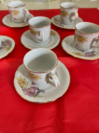 6 tazzine +6 piattini con decoro floreale e bordin