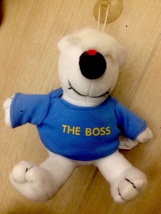 Peluches con ventosa Peluche 15 Cm da seduto orso 