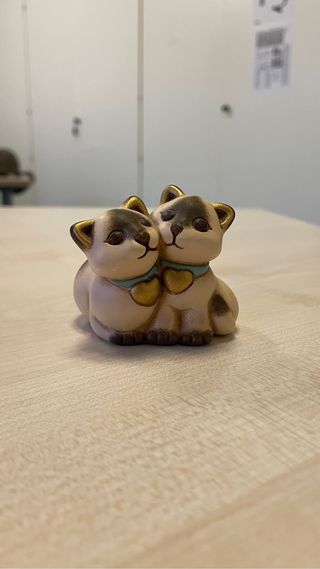 Coppia gattini siamesi Thun