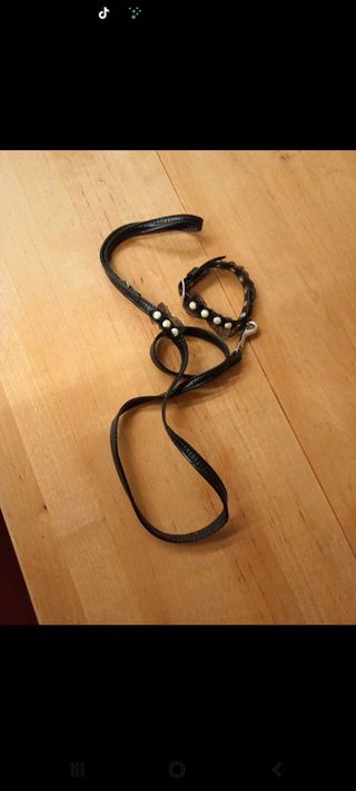 set collare e guinzaglio