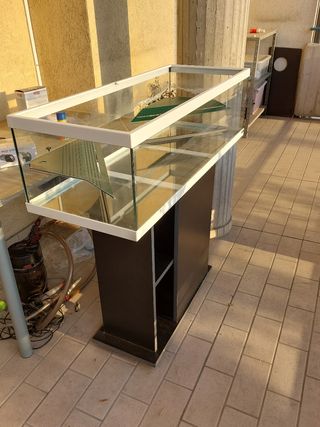 Terrario per rettili