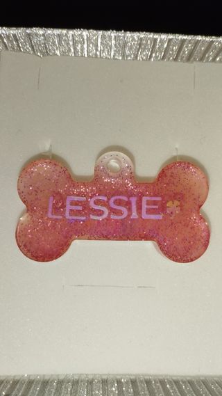 medaglietta per cani 