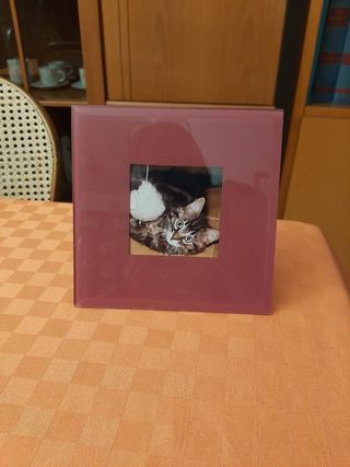 Cornice per foto piccola