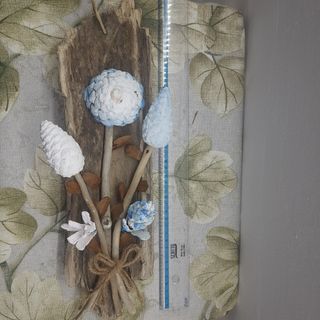 Driftwood legno trasportato dal mare 