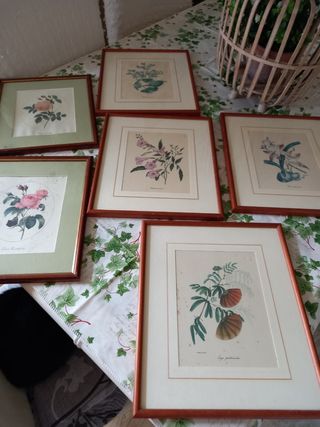 set di 8 quadretti stampe fiori