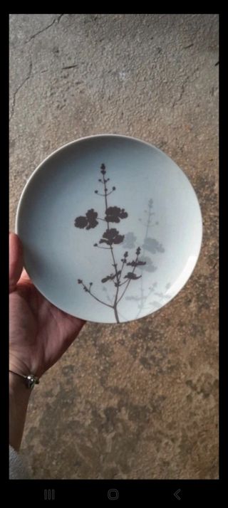 Piatto Laura Ashley NUOVO