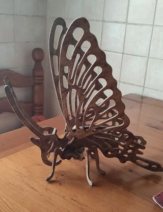 modellino farfalla 🦋