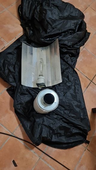 kit coltivazione canapa 