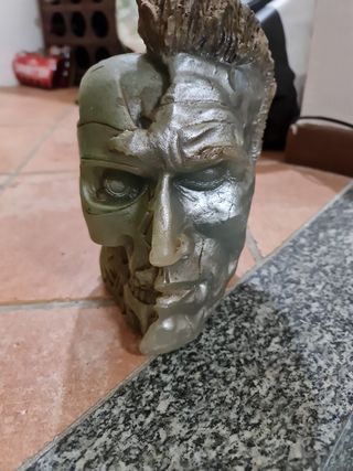 riproduzione testa terminetor