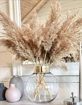 pampass grass decorazione casa 