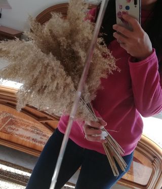 home decor pampas grass 