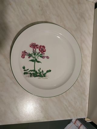 Piatto Seltmann Weiden 