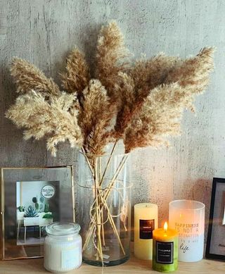 pampass grass brown /beige 