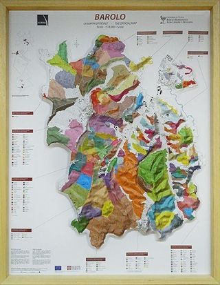 Barolo Mappa Ufficiale 3D Edizione Rara