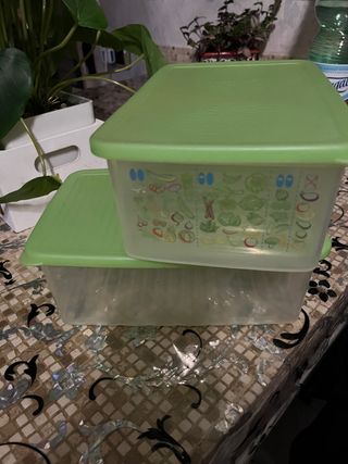 Set due contenitori frigo tupperware