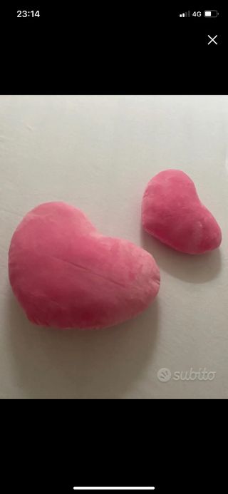 Coppia di cuscini