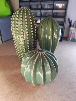 Cactus ikea
