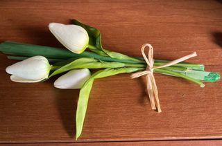 Tulipani