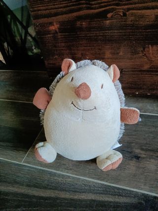 ferma porta porcospino 