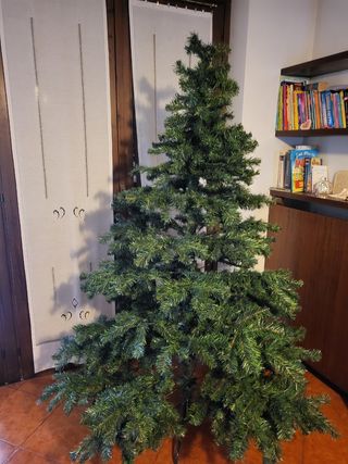 albero di natale