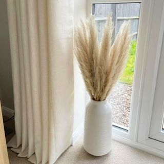 HomeDecor pampass grass 
