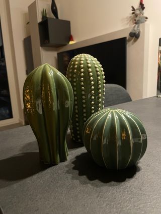 Cactus decorativi 