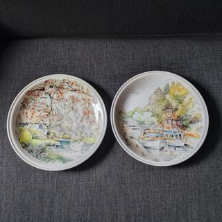 coppia piatti  N. Fontebasso 1760, vintage stagion