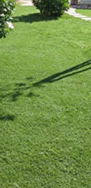 pezzi di prato sintetico