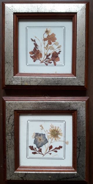 Due quadretti 12 x 12 cm con fiori veri