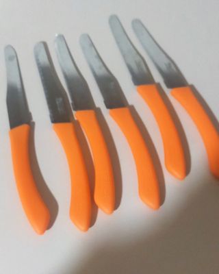 set di n.6 coltelli da portata