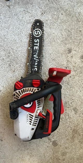 Motosega a scoppio sterwins