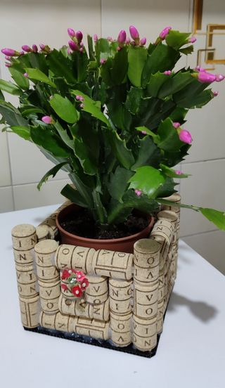 Portavasi in sughero 