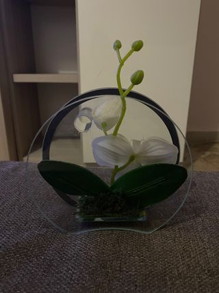 Soprammobile con orchidea 